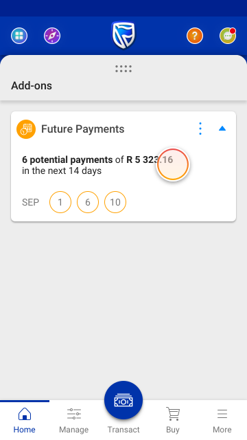 Get the Future Payments add-on | Standard Bank