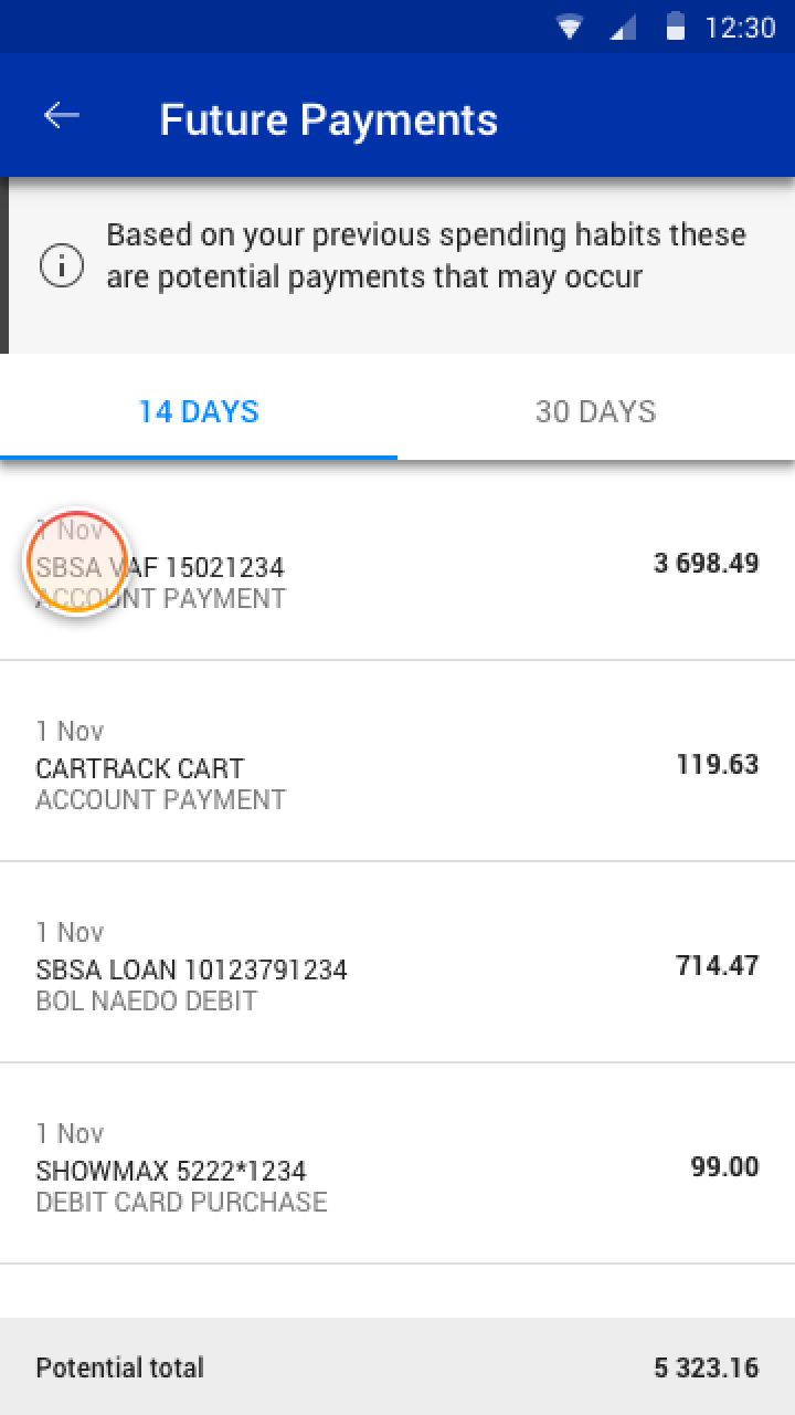 Banking App feature: Future Payments | Standard Bank
