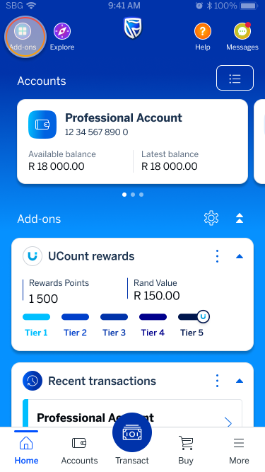 Get the Credit Score add-on | Standard Bank