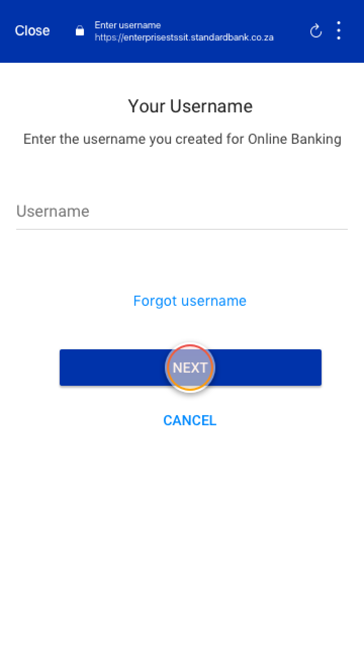 Reset a forgotten app code | Standard Bank