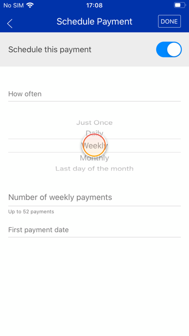 How to set up repeat payments | Standard Bank