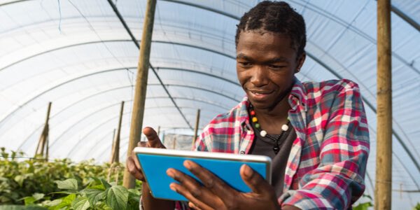 Steps to a winning strategy for your agribusiness | Standard Bank