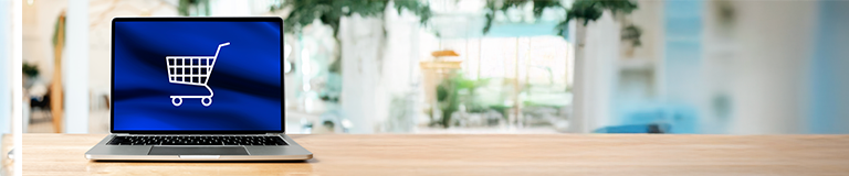 SimplyBLU: E-commerce and payment solution | Standard Bank