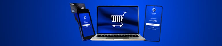 SimplyBLU: E-commerce and payment solution | Standard Bank