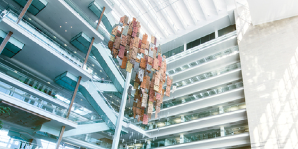 Standard Bank announces contribution to the Western Cape amid floods ...