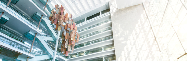 Standard Bank announces contribution to the Western Cape amid floods ...